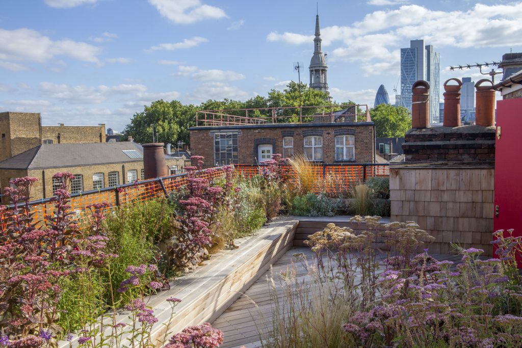 London Homes Garden Design Insights | Sara Jane Rothwell